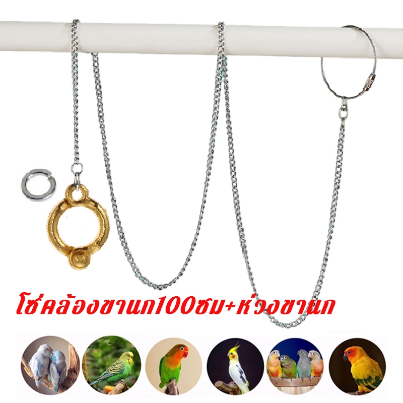 Stainless Steel Bird Chain 100cm Parrot Free Ring Lightweight Open ...