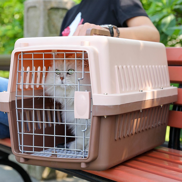 Carrying Cage Pet Box Travel For Dogs And Cats There Are 2 Sizes Cat ...