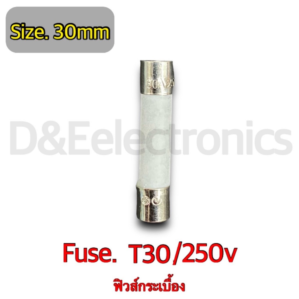 Fuse Tile Size.30mm /250v (1 Order/Per 1 Piece) | Shopee Malaysia