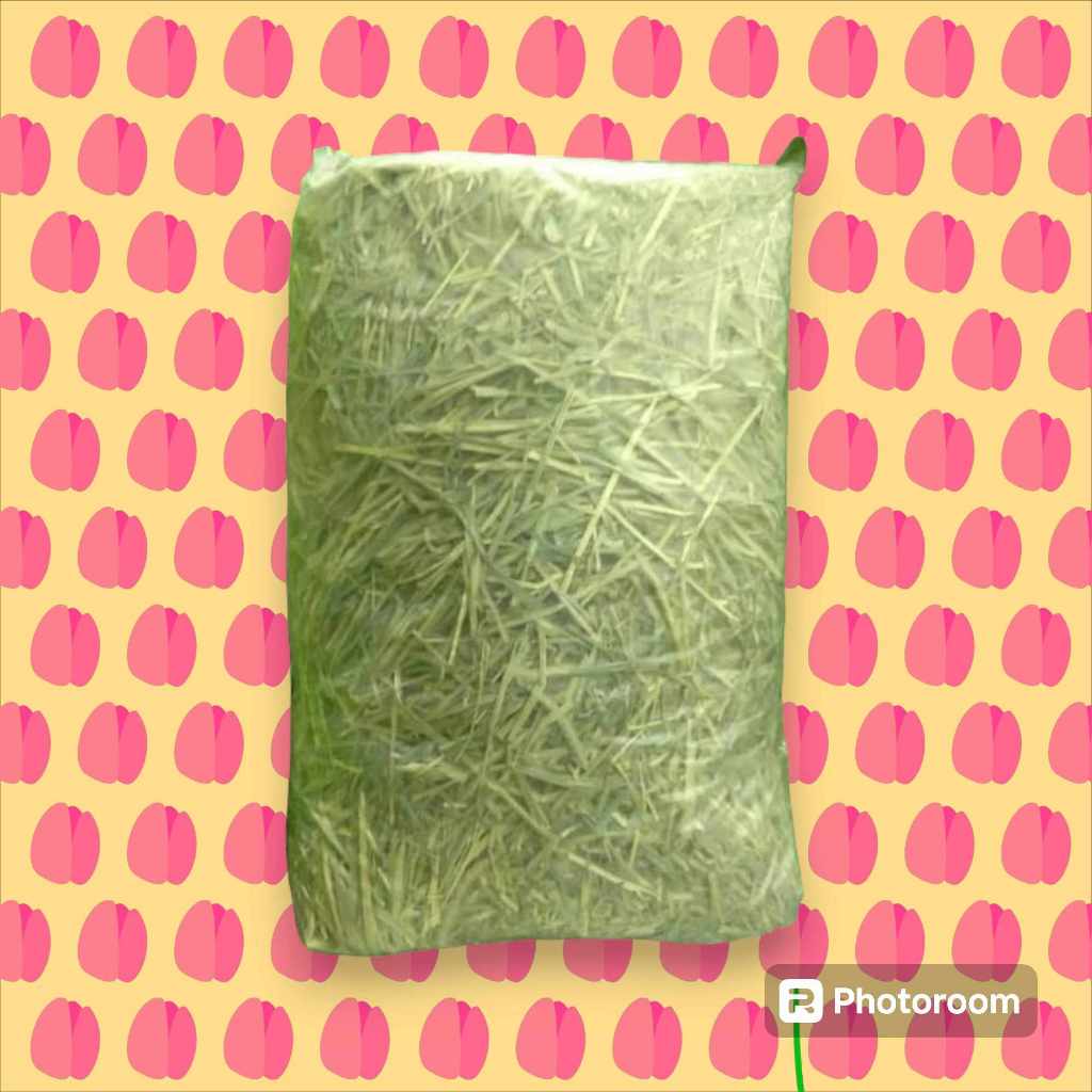 Promotion For The Premium Timothy Rabbit Durable No Sifted Dust 2.5 G.a ...