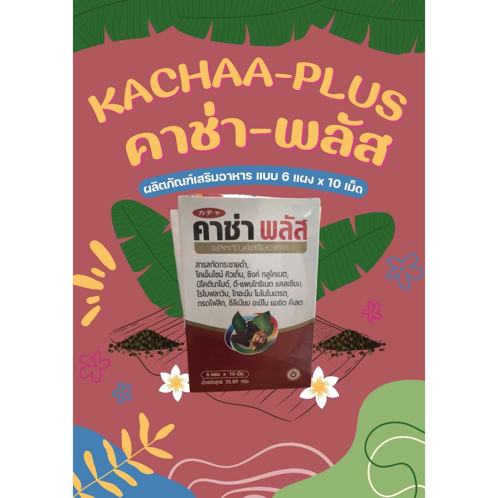 KACHAA PLUS (Kasha Dietary Supplement) 6 Panels 10 Tablets Per Pack ...