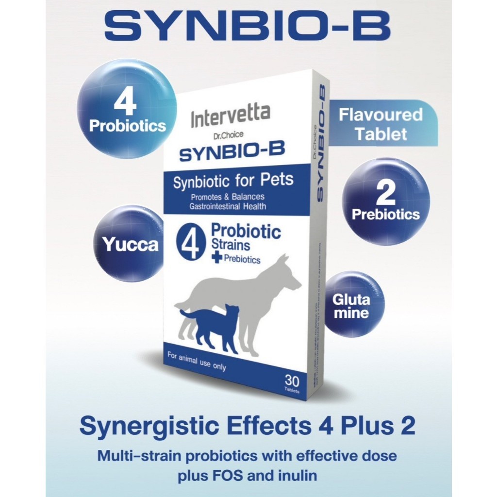Synbio B Probiotic + Prebiotics Dogs-Cats Intestinal Balance Excretion ...