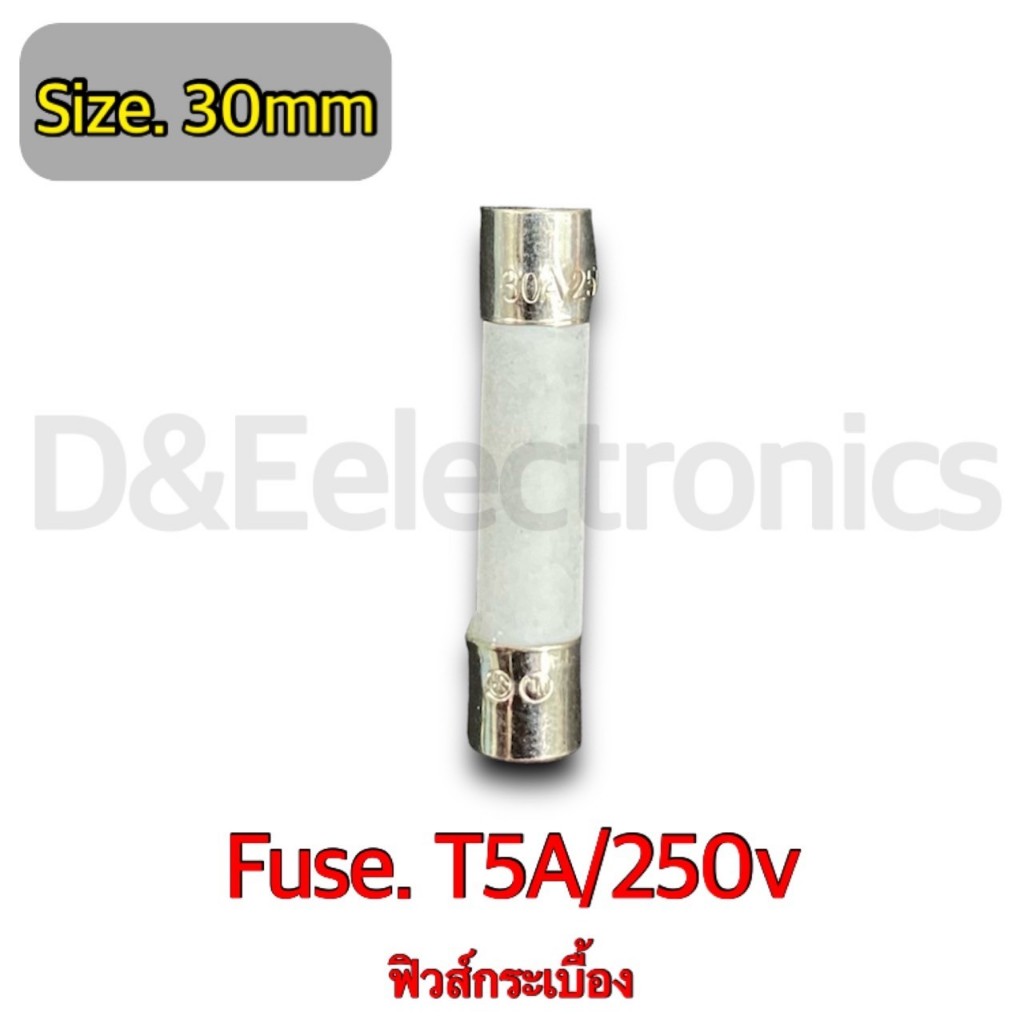 Fuse Tile Size.30mm /250v (1 Order/Per 1 Piece) | Shopee Malaysia