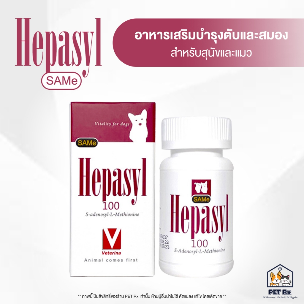 Hepasyl 100 [Authentic] Liver And Brain Supplement. From Advanced ...