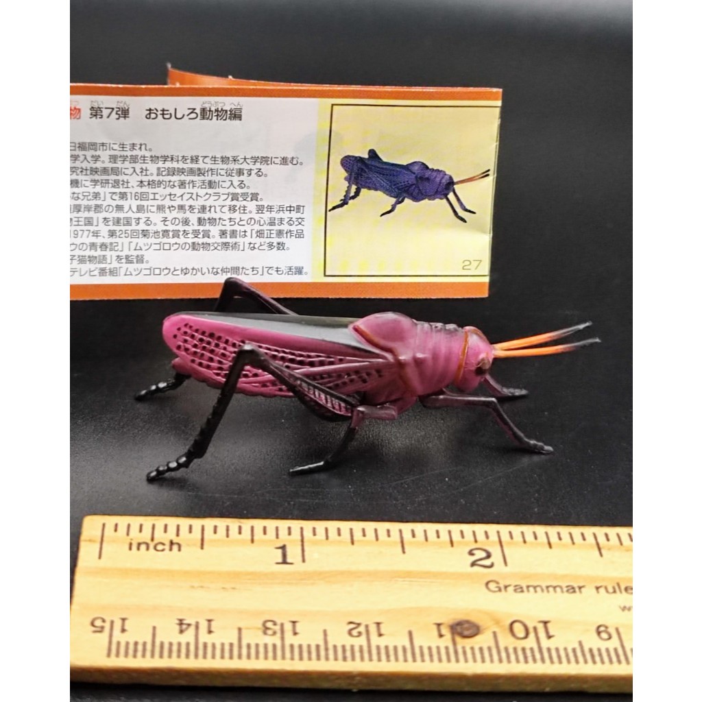 Mini Animal Purple Mantis Kaiyodo Choco Egg Grasshopper Miniature ...