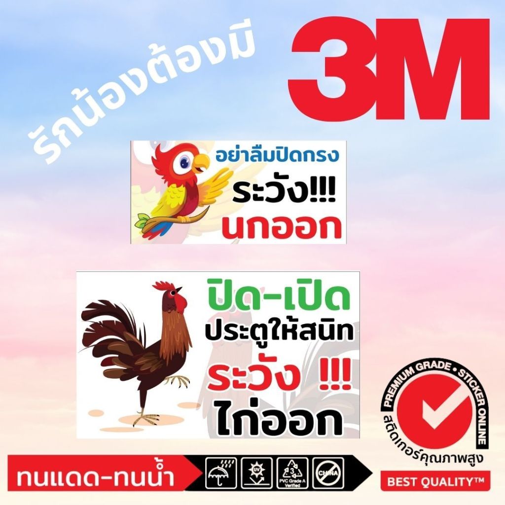 (485)Cage Open Close The Cage Door Completely Careful Bird Chicken Out ...