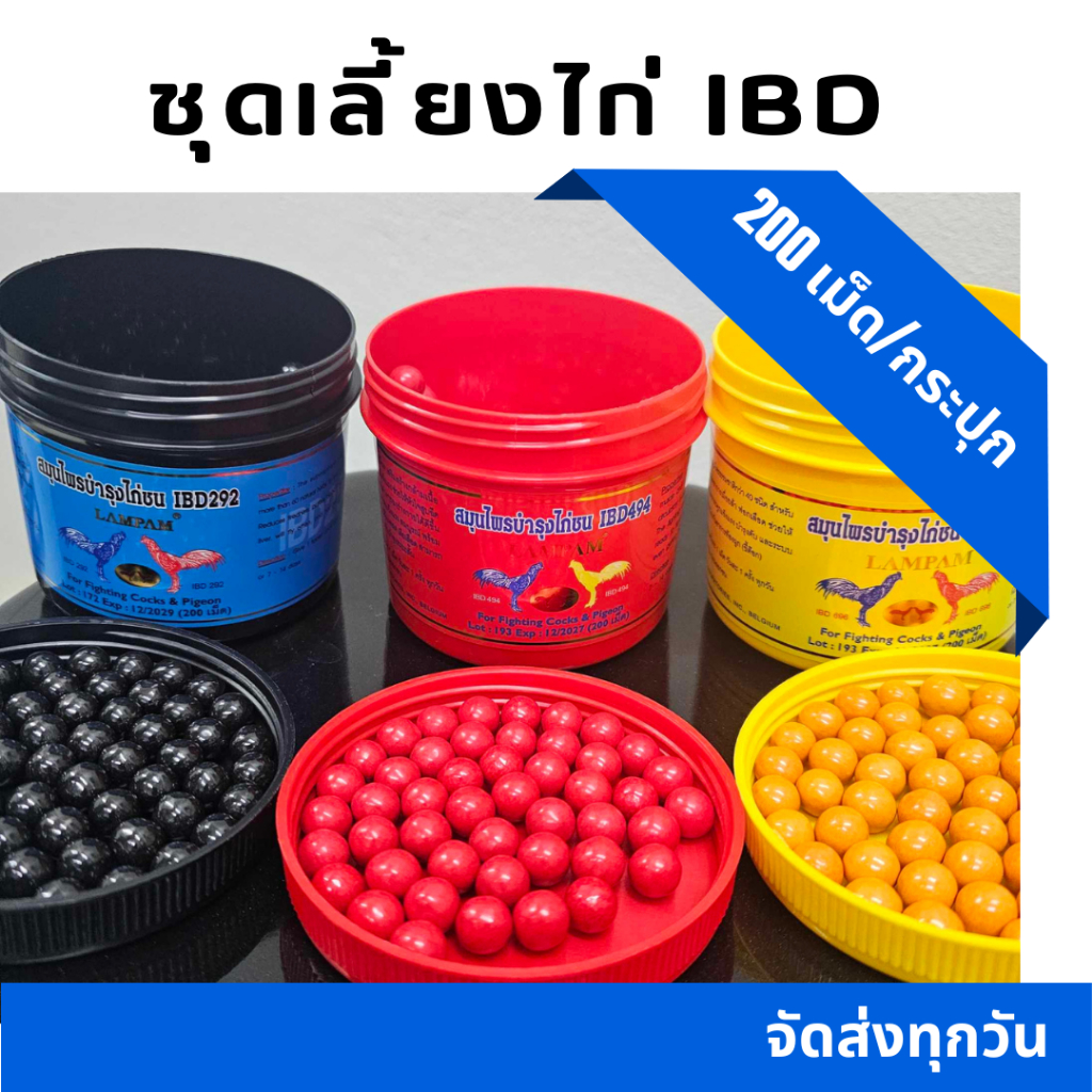 IBD Lampam Chicken Raising Kit 3 Colors 20 Tablets Per Color = Rearing ...