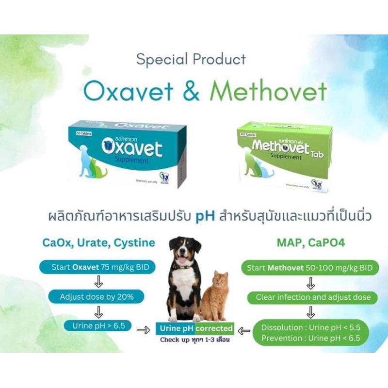 Methodovet & Oxavet [Authentic] Reduces The Occurrence Of Stones In ...