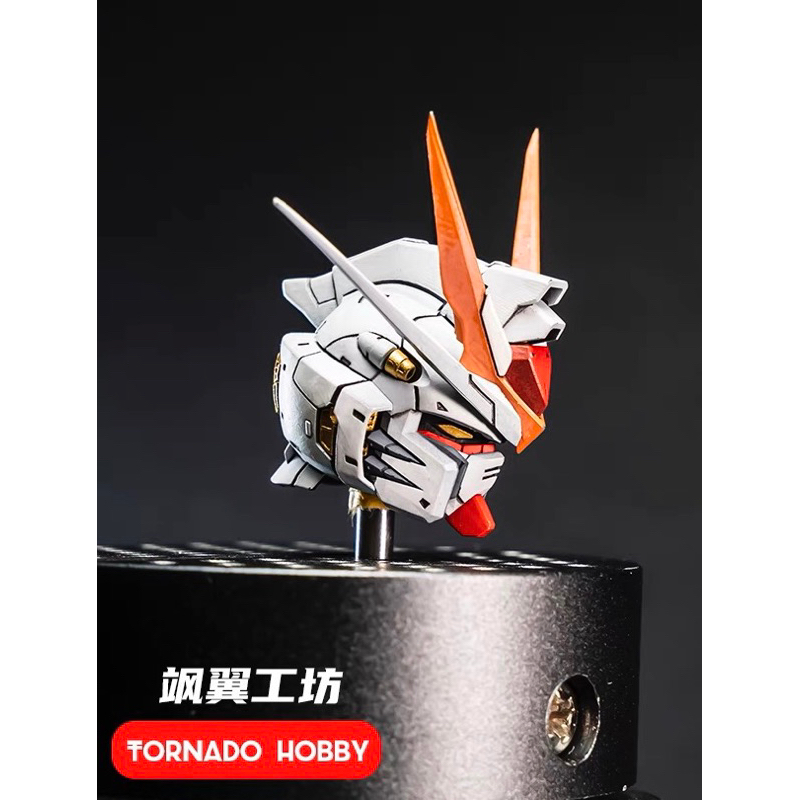 MHM Head Kits MG/MGEX 1/100 Strike Freedom Gundam Tornado Hobby Camp ...