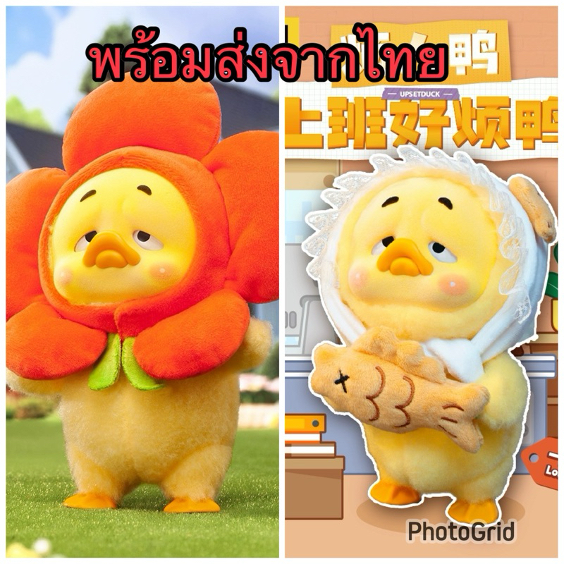 Upsetduck V2 V1 Front Duck Is An Unspecific To Draw Can Win The Color ...