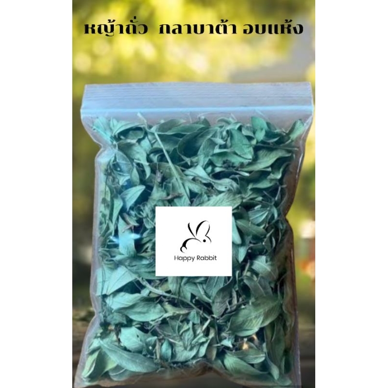 Crispy Fragrant Glaba Grass High Protein Suitable For Rodents 1kg ...