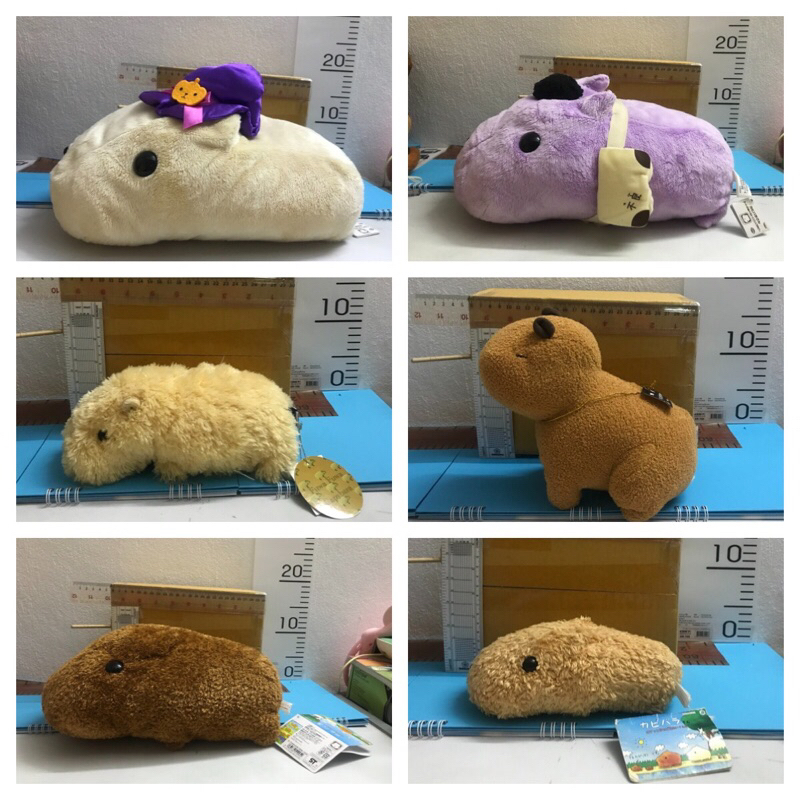 Capi Kid Girl Coconut Capibara With Tag | Shopee Malaysia