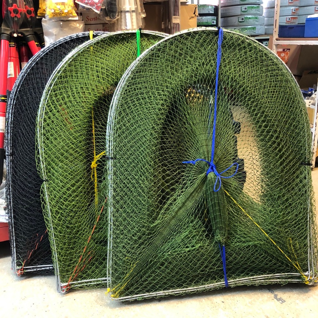 Condo Fish Trap Sai Idiot Height 70 Cm.width 55cmavailable In Green And ...