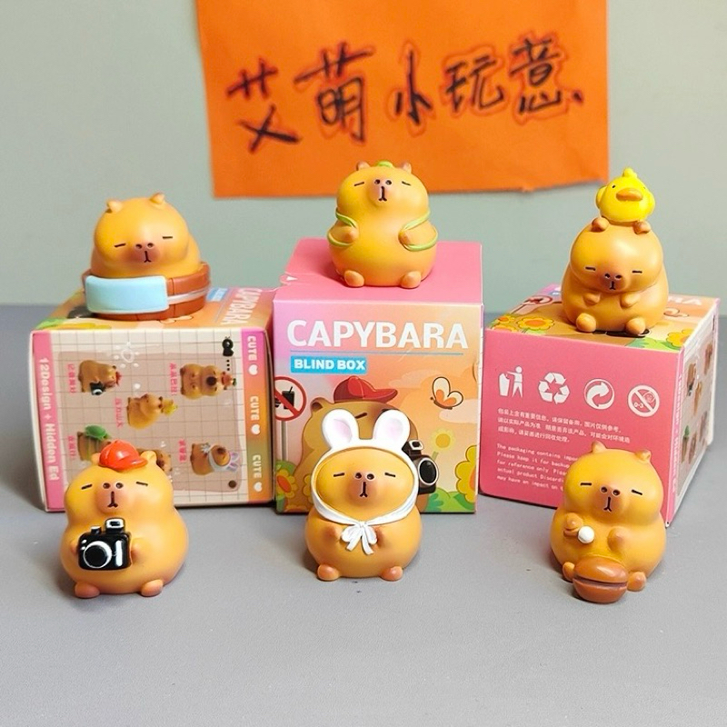 Capybara V.2 Blind Box | Shopee Malaysia