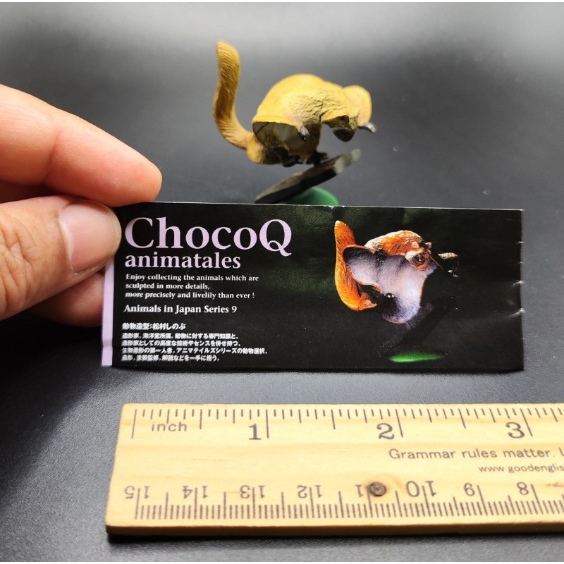 Giant Flying squirrel Kaiyodo Animatales Choco Q Series 9 Figure | Shopee Malaysia