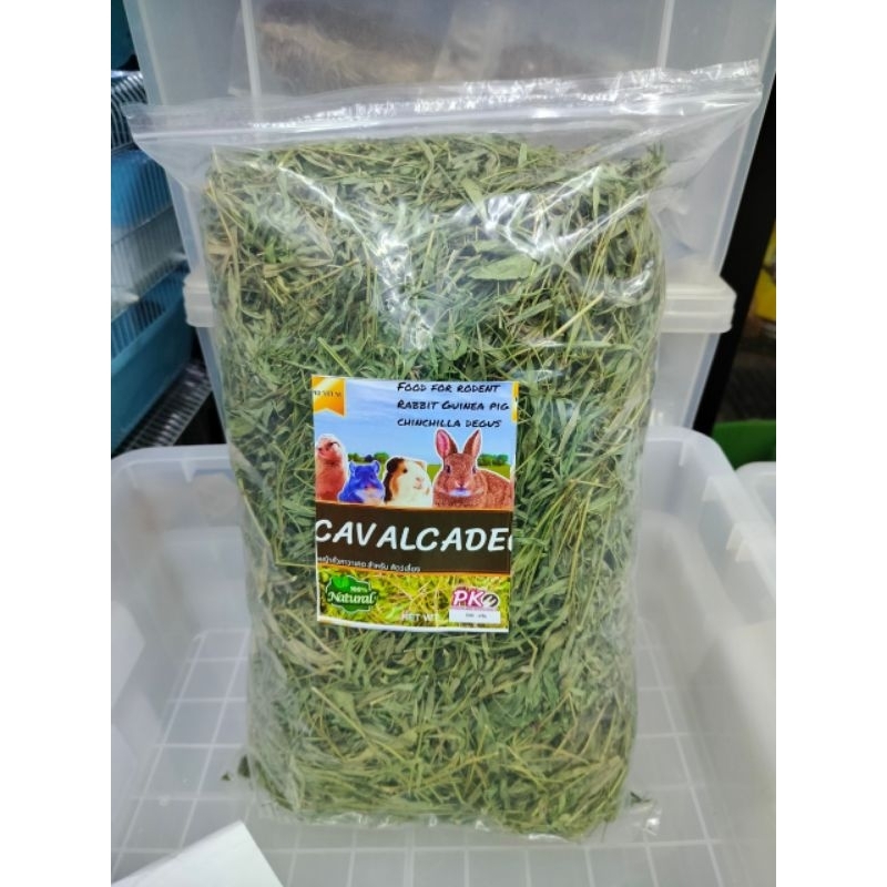 Roasted Cavaged Pea Grass Food For Rabbits Mice Gatsby Rodents | Shopee ...