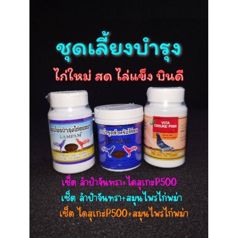 Lampam Vitamin Feeding Set Daisuke P500 Chanthrafa Blue Burmese Chicken ...