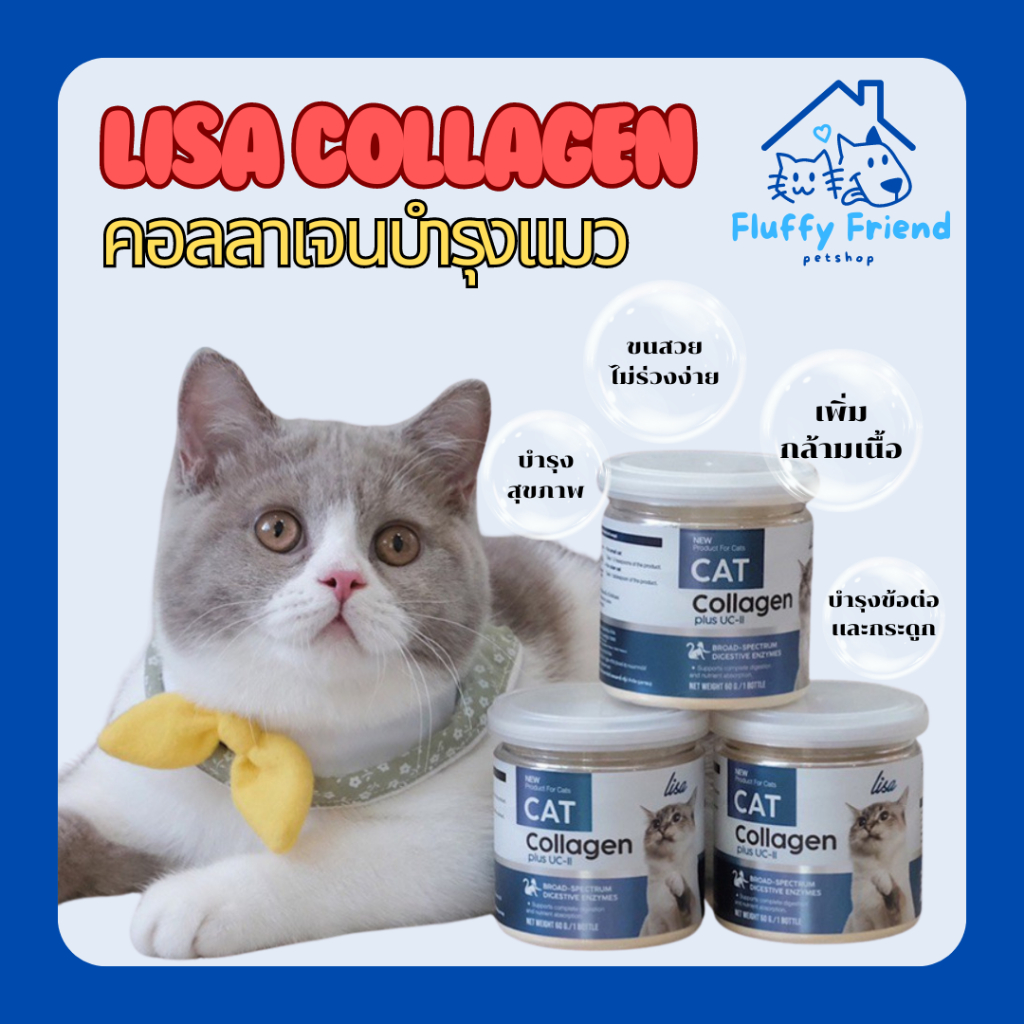 Lisa Collagen Protein Powder Turtle Egg For Cats Premium Grade ...