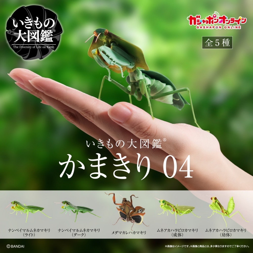 Model 4 Ikimono encyclopedia mantis 04 bandai mini figures Gashapon ...