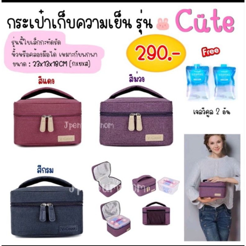 V-coool 1 Compartment Hand Carry Cooler Bag (L Series) | Shopee Malaysia