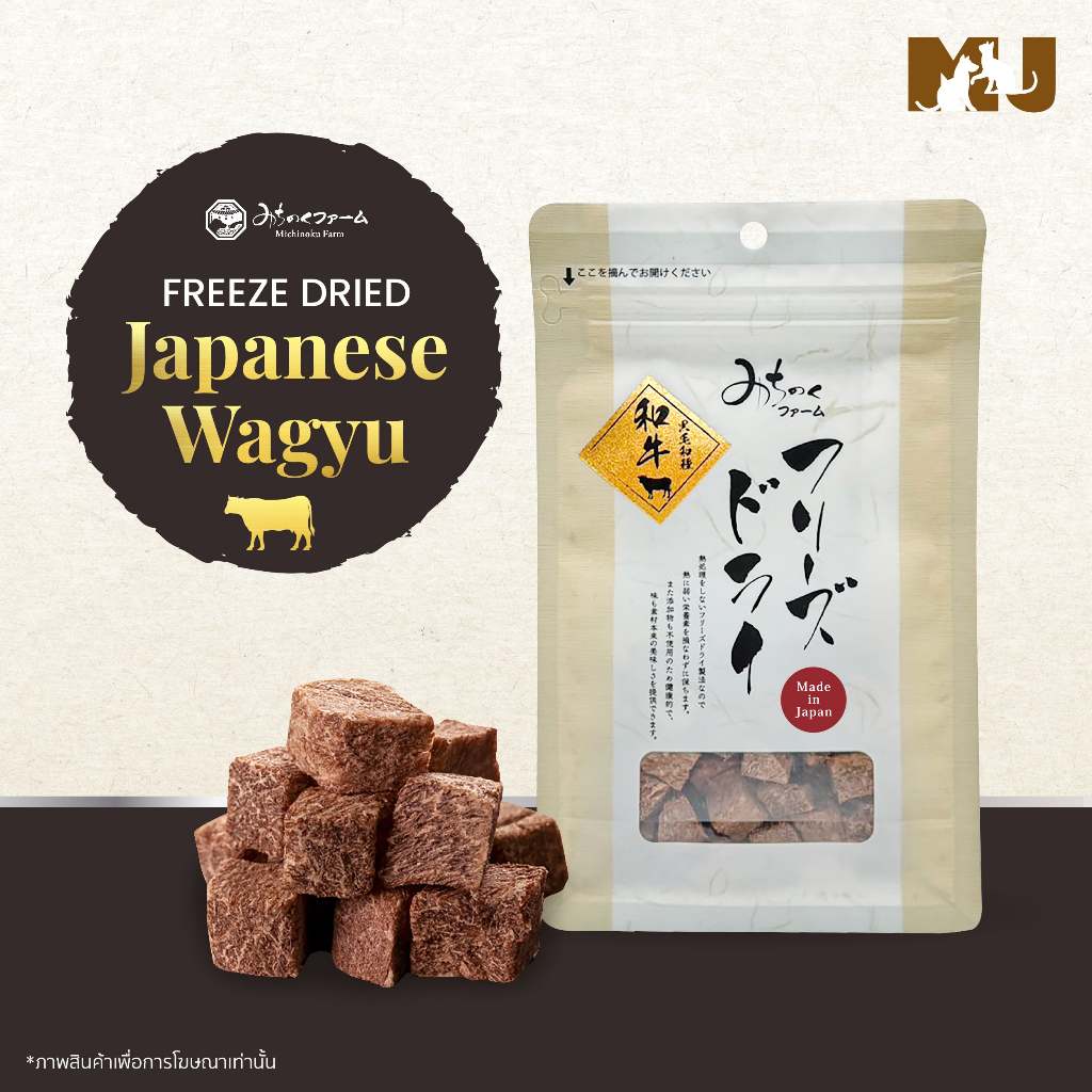 Freeze Dried Japanese Wagyu 45g.freeze Beef Premium Snacks From Japan ...