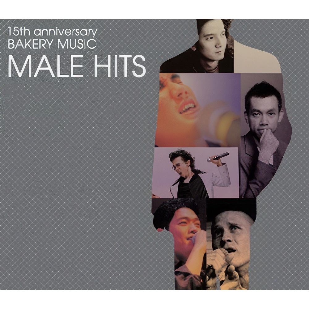 CD Audio High Quality Thai Song 15th Anniversary Bakery Music Male Hits ...