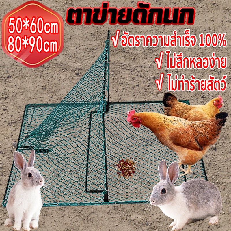 Good Spring Bird Trap Net In Nylon Wild Chicken Iron Frame Easy To ...