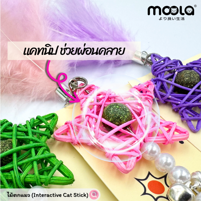 Moola Interactive Cat Stick Wooden Lure Catnip Falling Wood Insert Ball ...