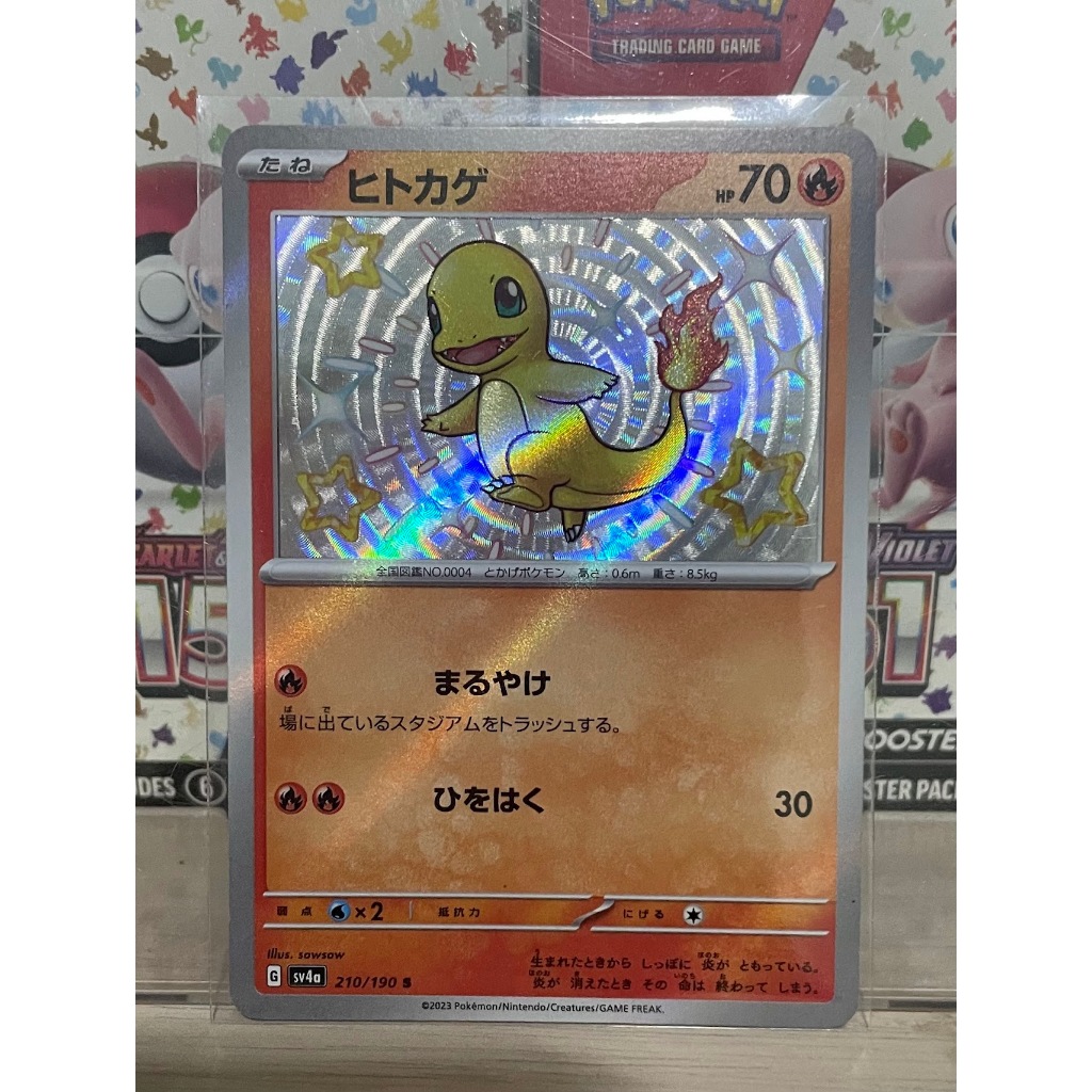 Pokemon Zini Japanese (Pokemon Card Game) | Shopee Malaysia