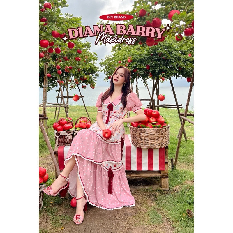 BLT brand Diana Barry Hand 1 Sz.M Waist No More Than 27 | Shopee Malaysia