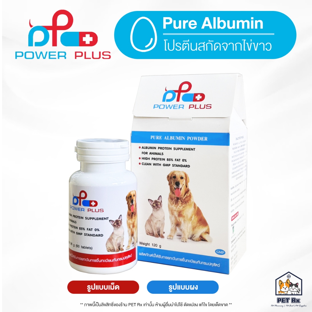 Power Plus: Pure Albumin [Authentic] Protein Supplement Extracted From ...
