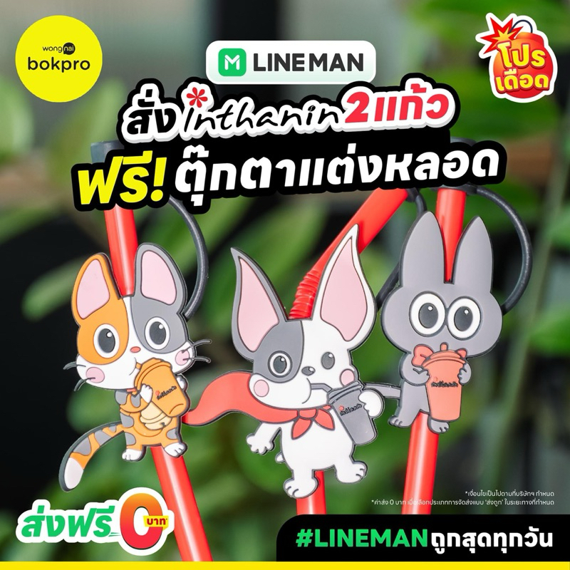 Inthanin Coffee x Lineman (Inthnin 2024 Premium Product) | Shopee Malaysia