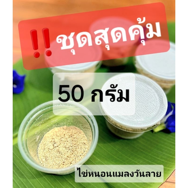 50 Grams Of Fly Worm-Striped Egg Bsf Worm-Jo Worm Protein ...