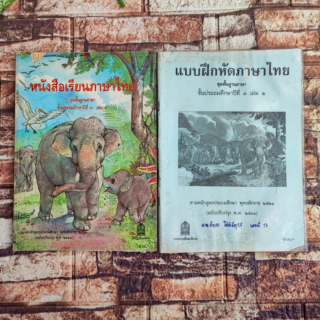 Thai Language Textbook Kaew And Brave Grade 3 Book 2 With Exercise ...
