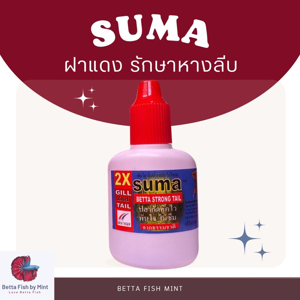 Red Cap Suma Relieves Bad Tails Fish Bites And Does Not Swim Naturally ...