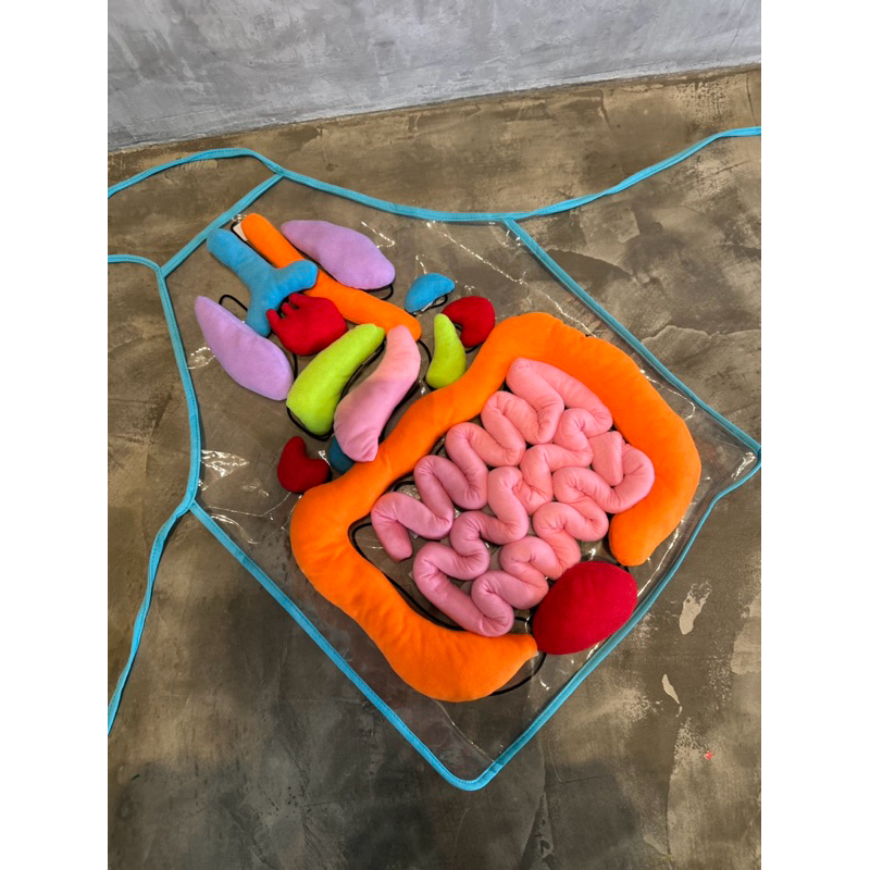 Internal Organs Learning Toys Human Body Apron(anatomy) | Shopee Malaysia