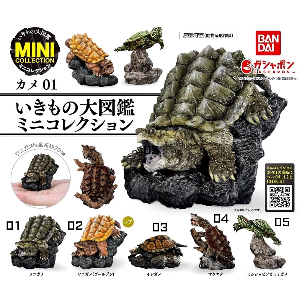Turtle Gashapon Aligner Japanese Mini Bandai Ikimono Encyclopedia ...