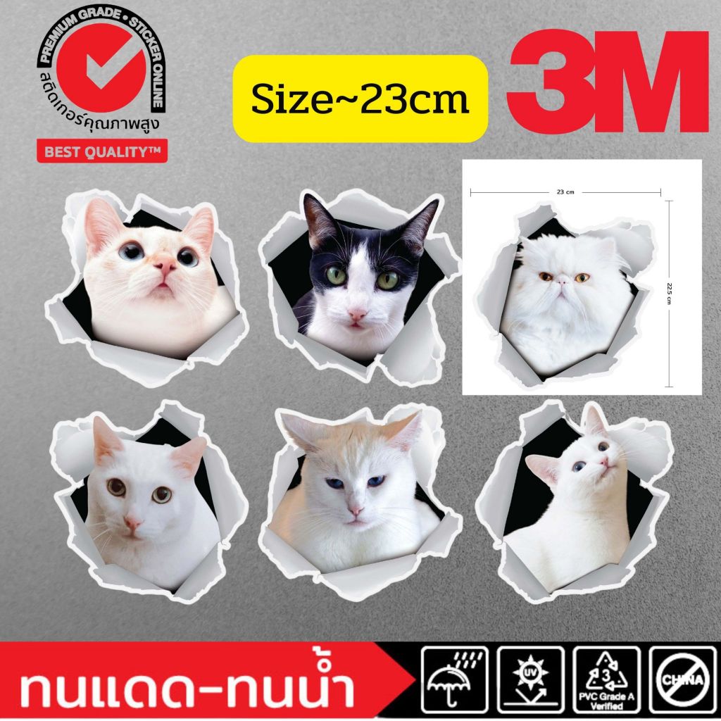 (021)Sticker 3M 3D cat White 3D Sticker Car Wall Glass Toilet Bathroom ...
