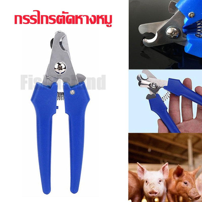 Pig Tail Scissors Cut The Pork To The Bite-Tailed Piglets Help Exercise ...