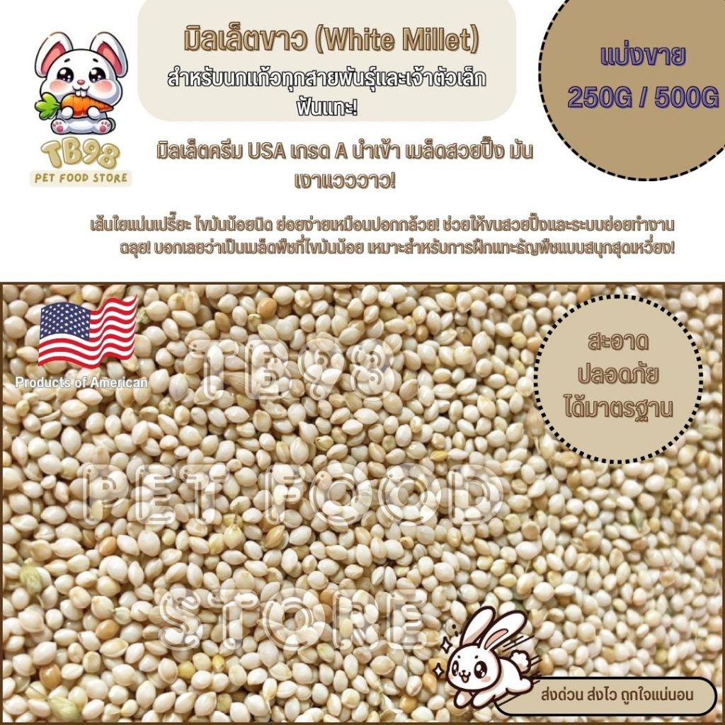 Millet White USA Grade A Food For Parrots And Rodents Clean Sifted Dust ...