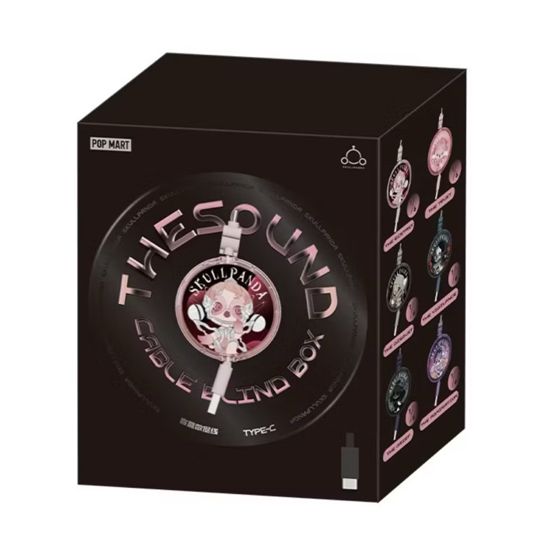 Pop Mart SKULLPANDA The Sound Series-Cable Blind Box Popmart Type-C ...