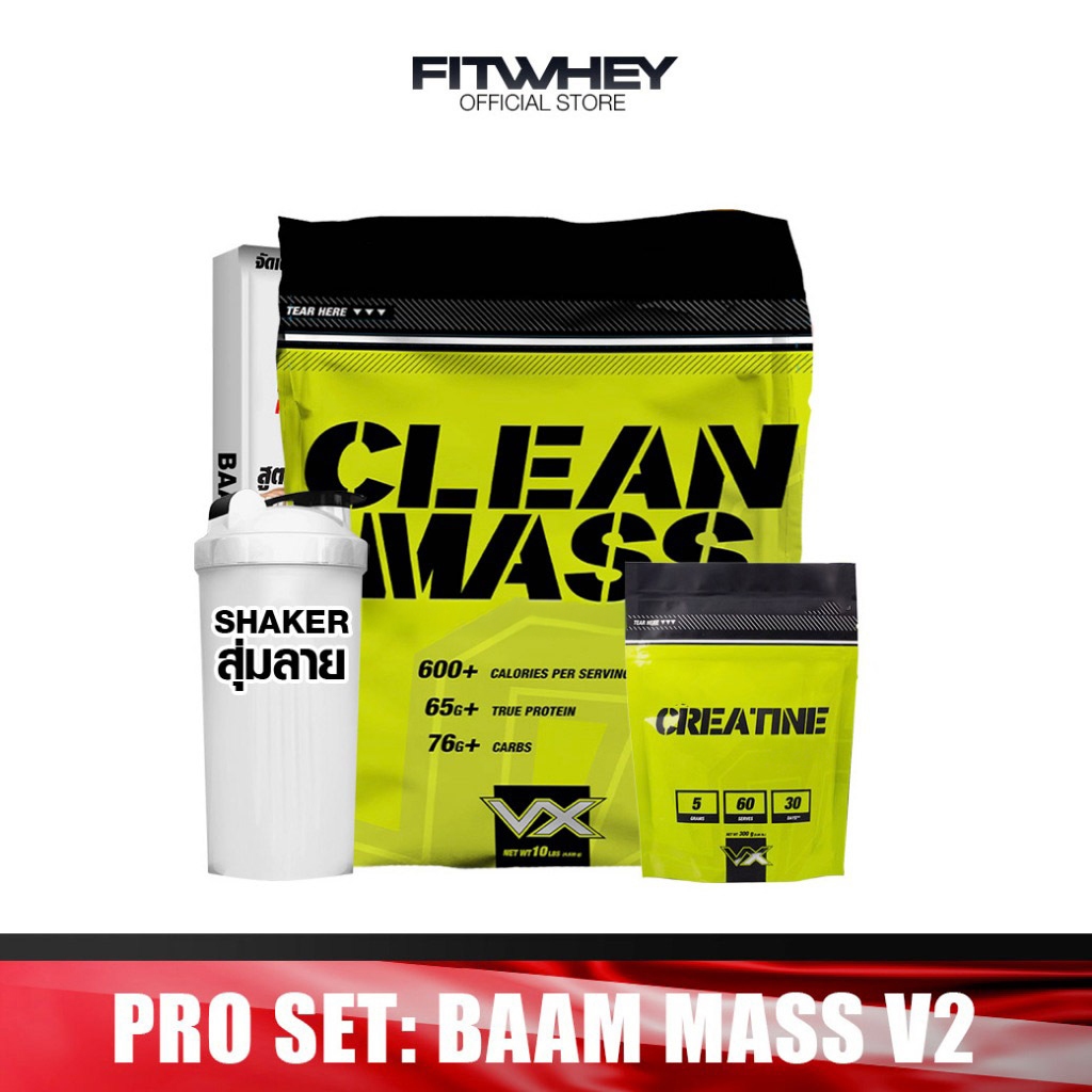 VITAXTRONG BAAM MASS V2 (10 LB) | Whey Protein Carb Enhancer + Creatine ...