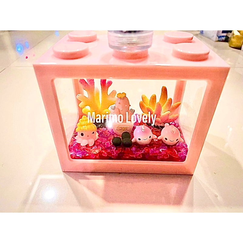 marimo Set With Built-In Led Lights Organized lovely | Shopee Malaysia