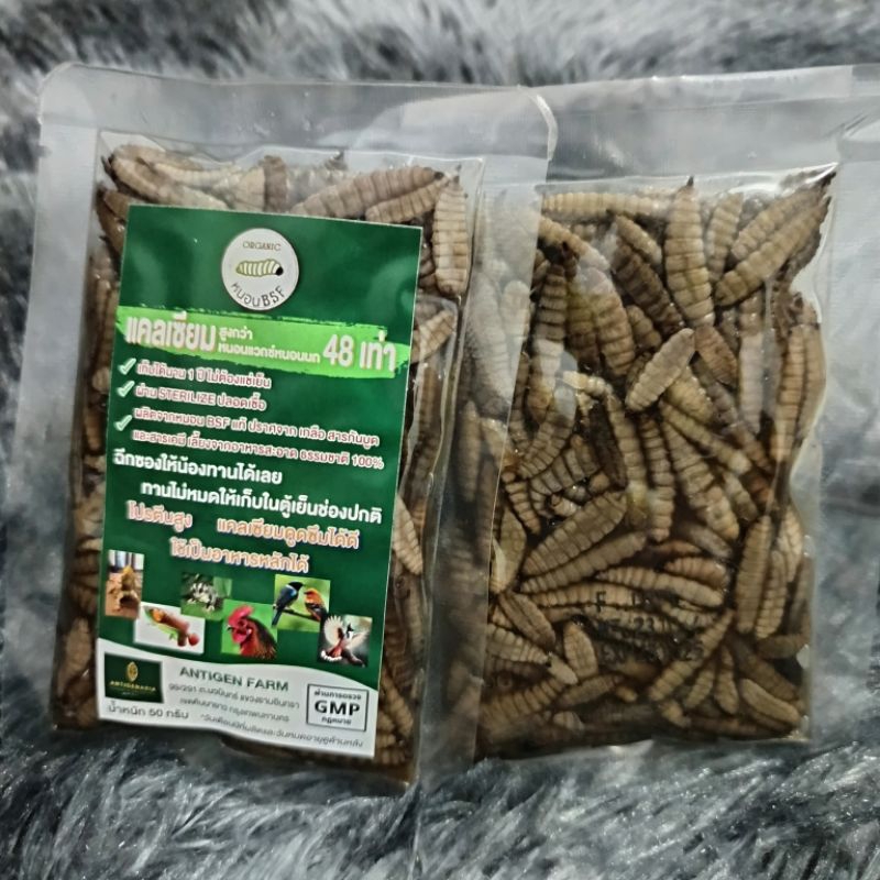 Worm BSF (Sterilized) Size 50 G Clean Sterile Unflavored No Need To ...