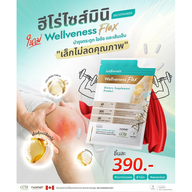 (Trial Size 7 Tablets/Sachet) Dietary Supplement Product Wellness Flex ...