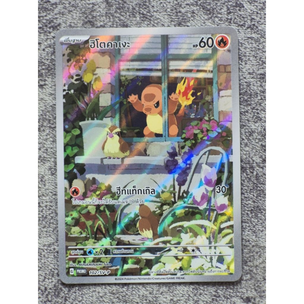 Hitokage Promo Pokemon TCG Thai | Shopee Malaysia