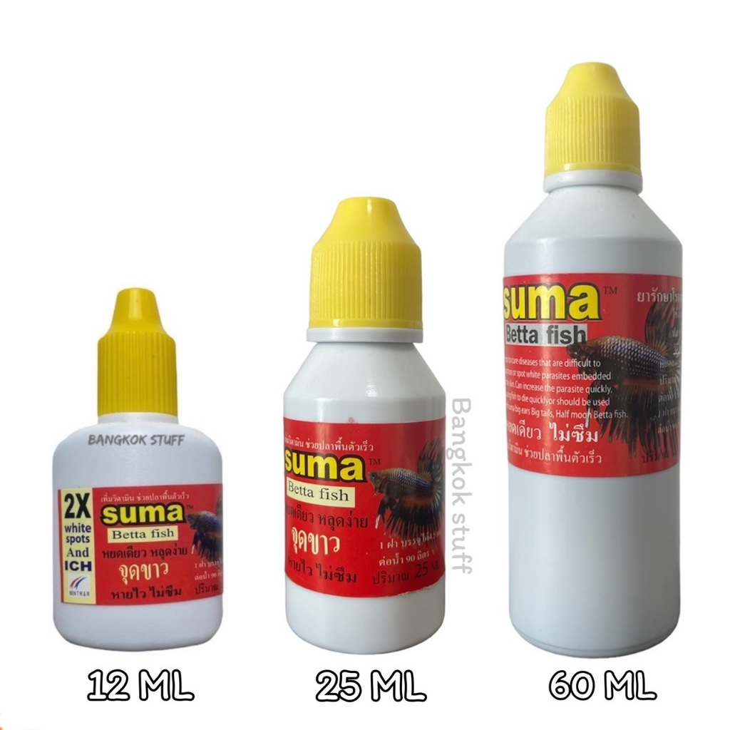 Suma Betta Fish White Dot (Yellow Cap) | Shopee Malaysia