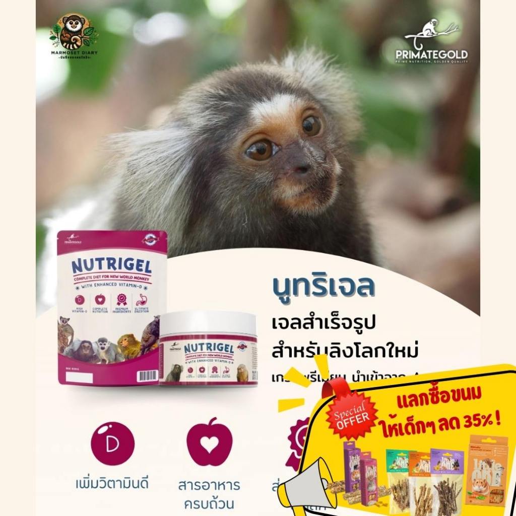 Monkey Food NutriGel Gelling/Stick Calcium Fits Marmoset Tamarine ...