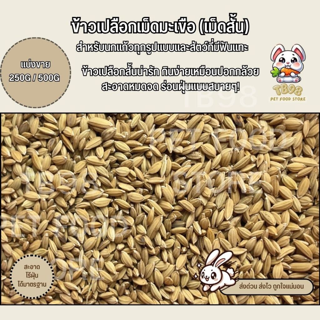 Eggplant Shell Rice Short Bark All Species Of Parrot Food Hamster ...