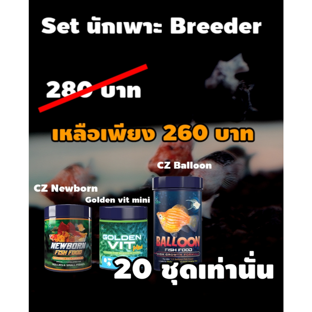 Beginner And Professional Balloon Fish Farming set With Breeder ...